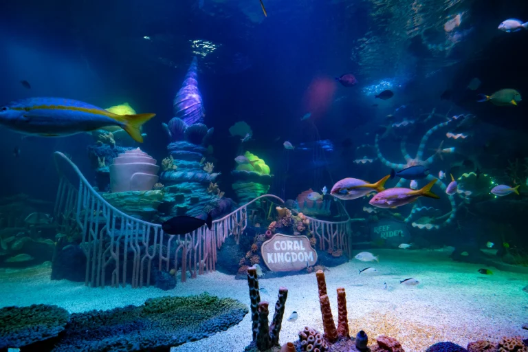 LEGOLAND + SEA LIFE Florida + Peppa Pig Theme Park Tickets