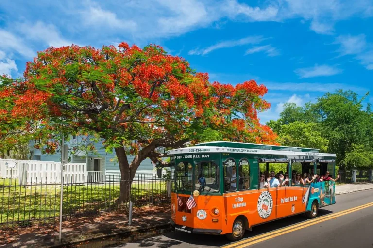 Key West Hop On Hop Off Bus Tour - Hop On Hop Off Plus